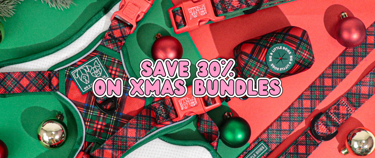Dog Harnesses, Dog Collars & Dog Leashes for Big & Small Dogs – Big ...