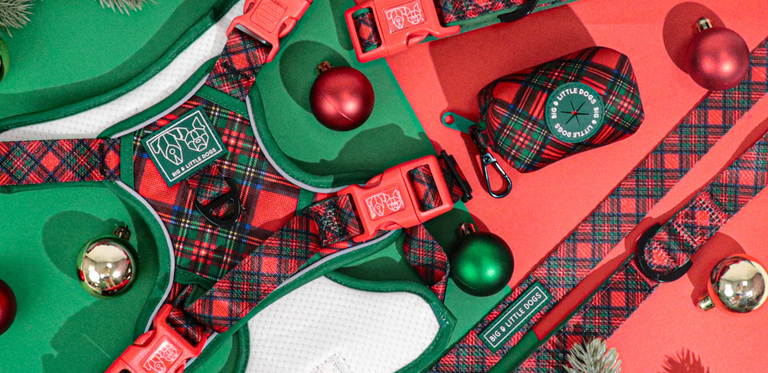Dog Harnesses, Dog Collars & Dog Leashes for Big & Small Dogs – Big ...