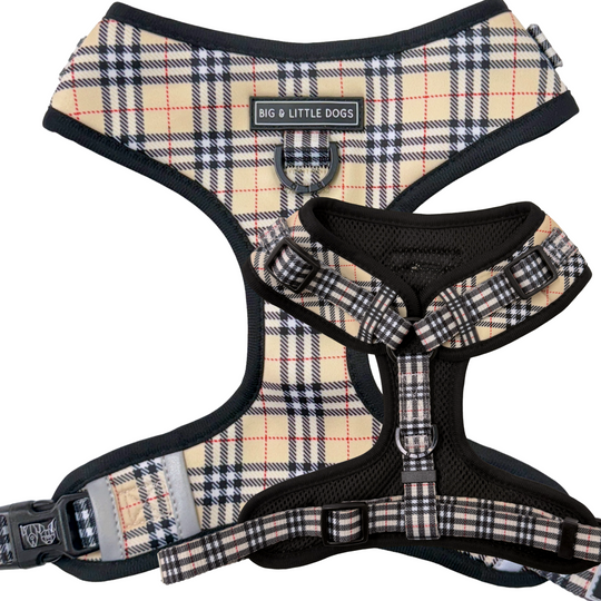 Dog Harnesses, Dog Collars & Dog Leashes for Big & Small Dogs – Big ...