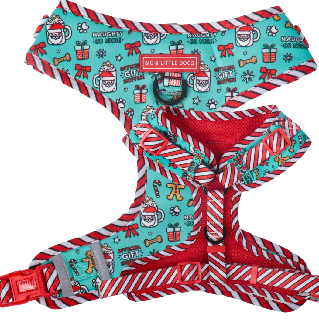 Dog Harnesses, Dog Collars & Dog Leashes for Big & Small Dogs – Big ...