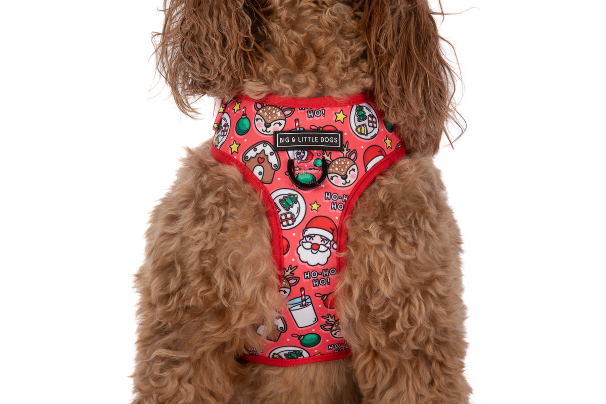 Dog Harnesses, Dog Collars & Dog Leashes for Big & Small Dogs – Big ...