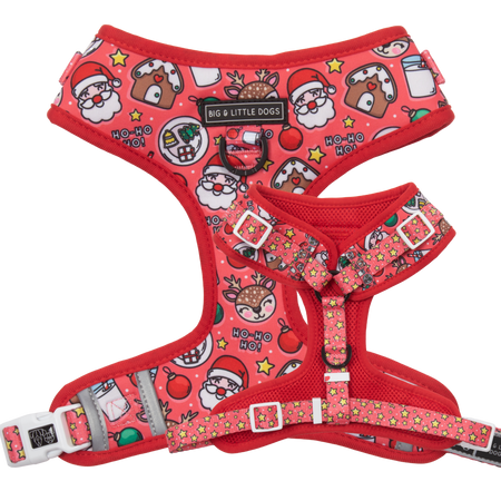 Dog Harnesses, Dog Collars & Dog Leashes for Big & Small Dogs – Big ...
