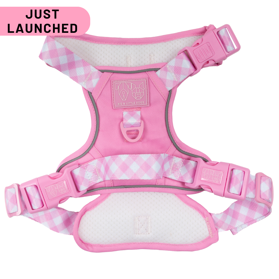 ALL ROUNDER DOG HARNESS For Big & Small Dogs | BIG & LITTLE DOGS – Big ...