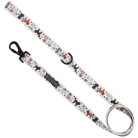 Dog Harnesses, Dog Collars & Dog Leashes for Big & Small Dogs – Big ...
