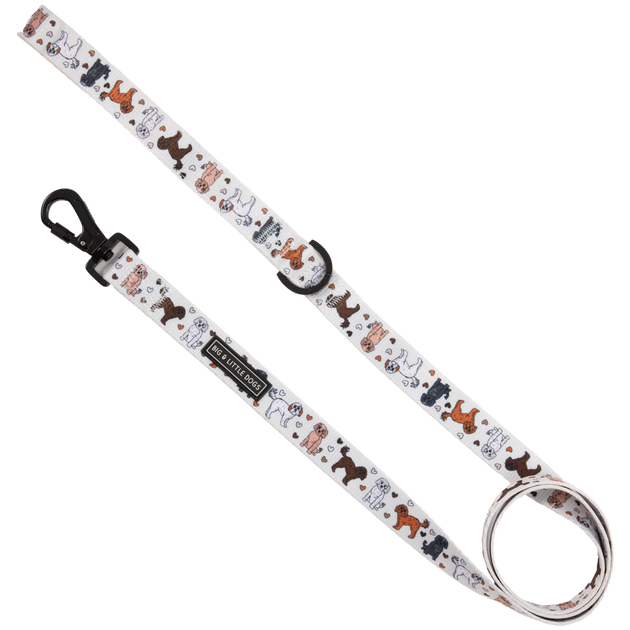 Dog Harnesses, Dog Collars & Dog Leashes for Big & Small Dogs – Big ...