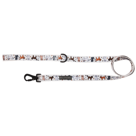Dog Harnesses, Dog Collars & Dog Leashes for Big & Small Dogs – Big ...