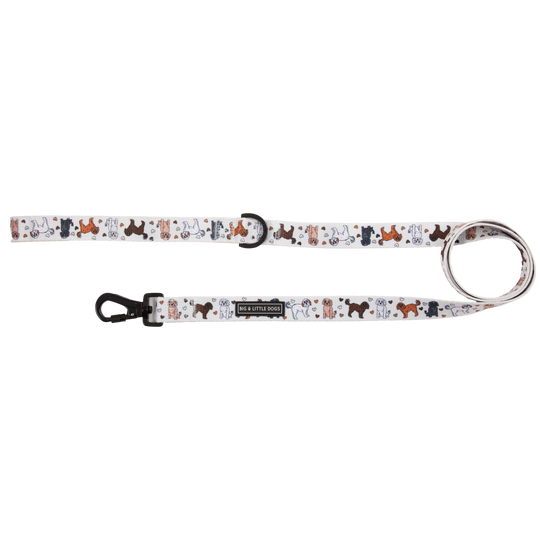 Dog Harnesses, Dog Collars & Dog Leashes for Big & Small Dogs – Big ...