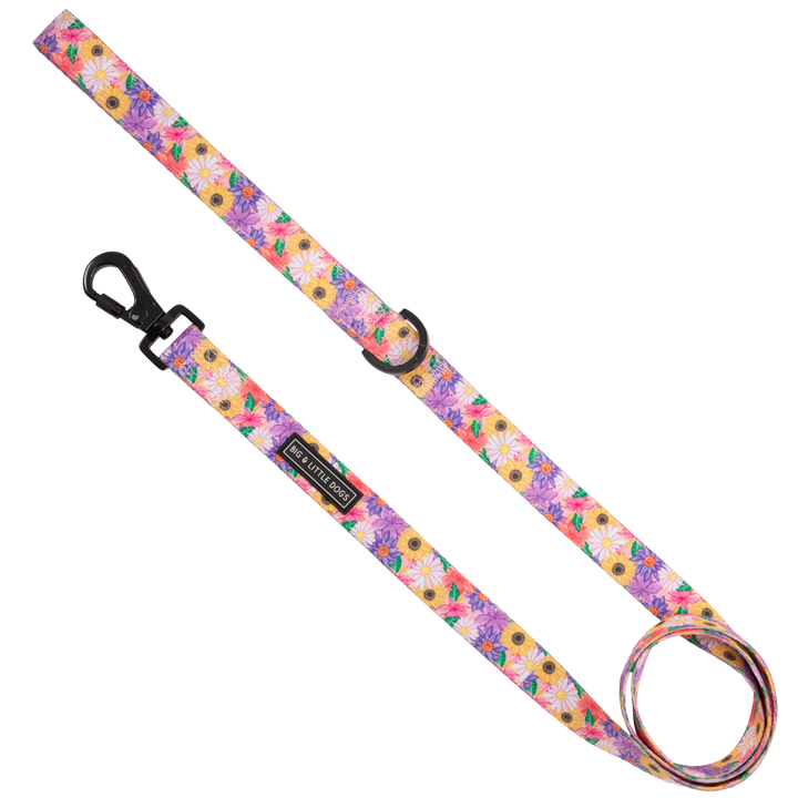 Dog Harnesses, Dog Collars & Dog Leashes for Big & Small Dogs – Big ...