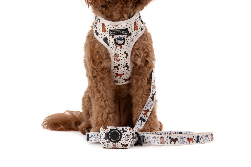 Dog Harnesses, Dog Collars & Dog Leashes for Big & Small Dogs – Big ...