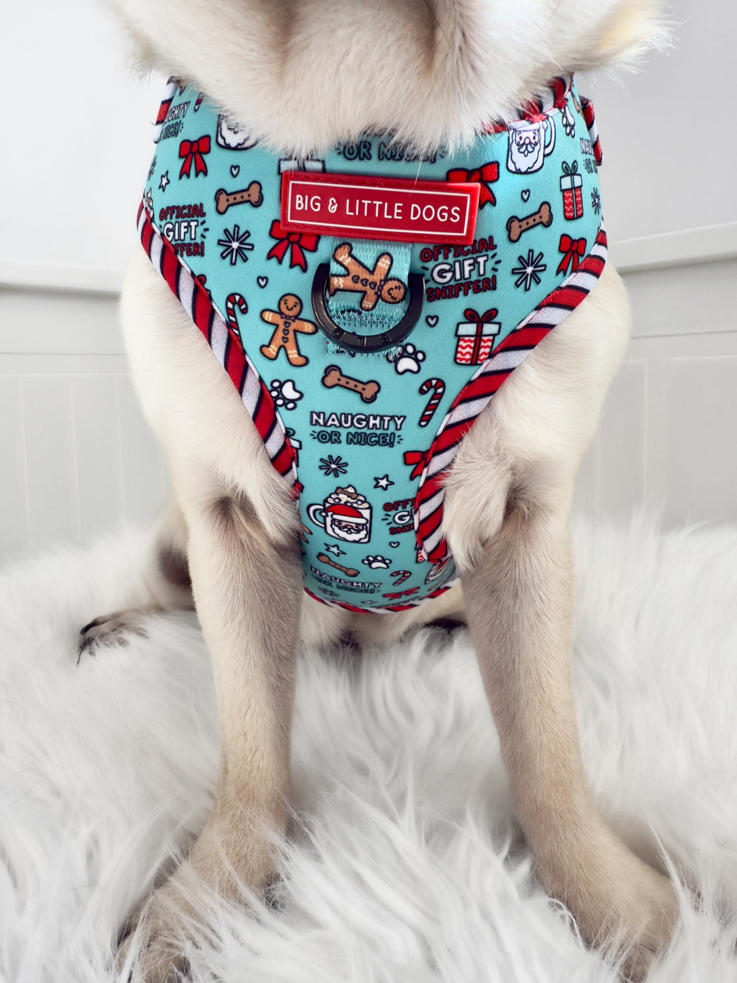 Dog Harnesses, Dog Collars & Dog Leashes for Big & Small Dogs – Big ...