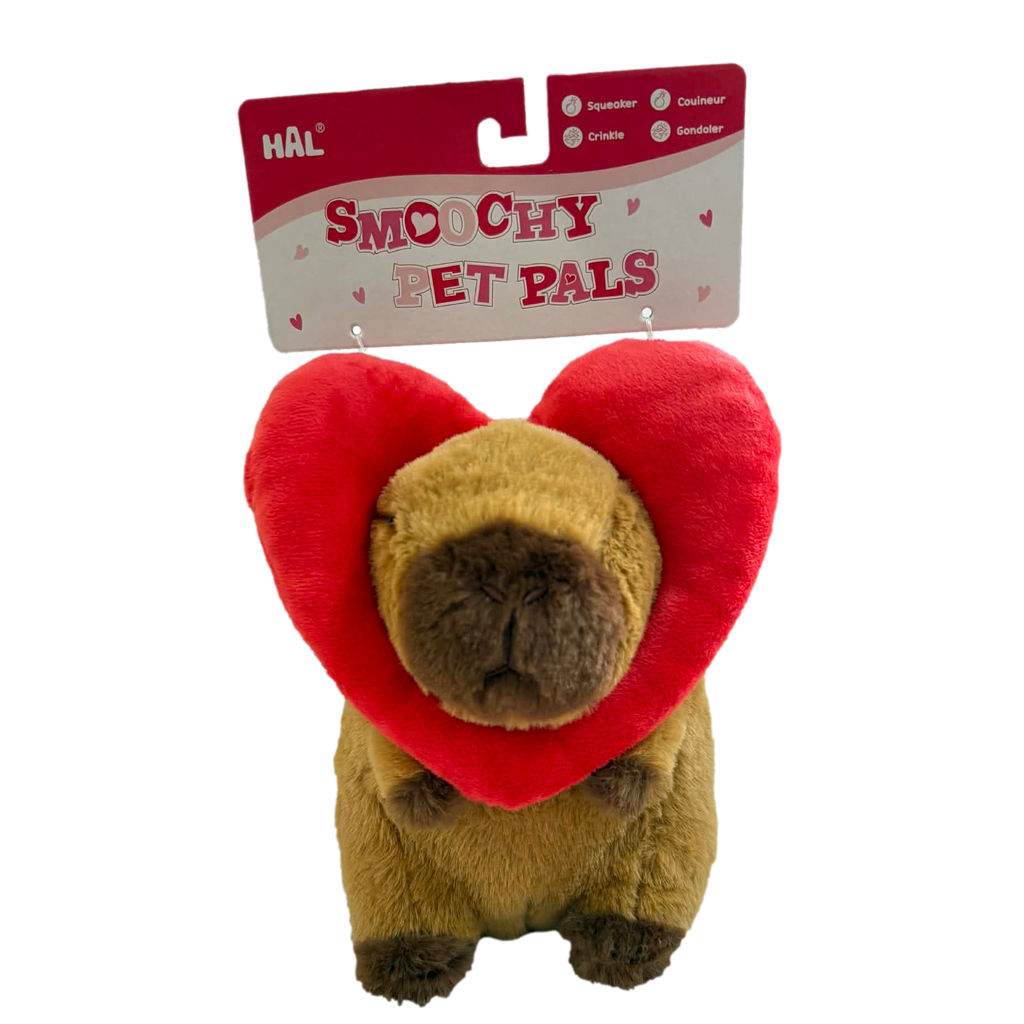 DOG TOY For Big & Small Dogs | BIG & LITTLE DOGS – Big & Little Dogs