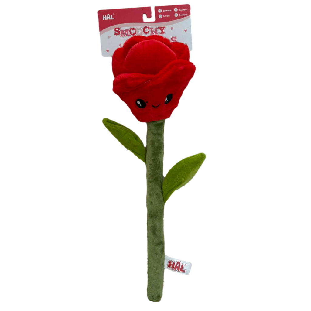 DOG TOY For Big & Small Dogs | BIG & LITTLE DOGS – Big & Little Dogs