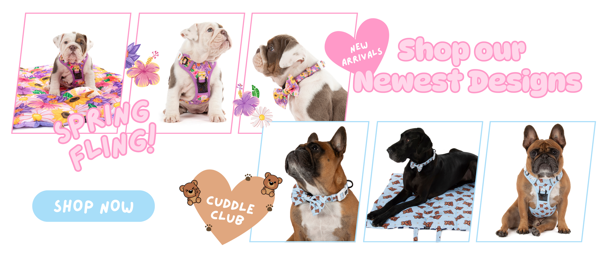 Dog Harnesses, Dog Collars & Dog Leashes for Big & Small Dogs – Big ...