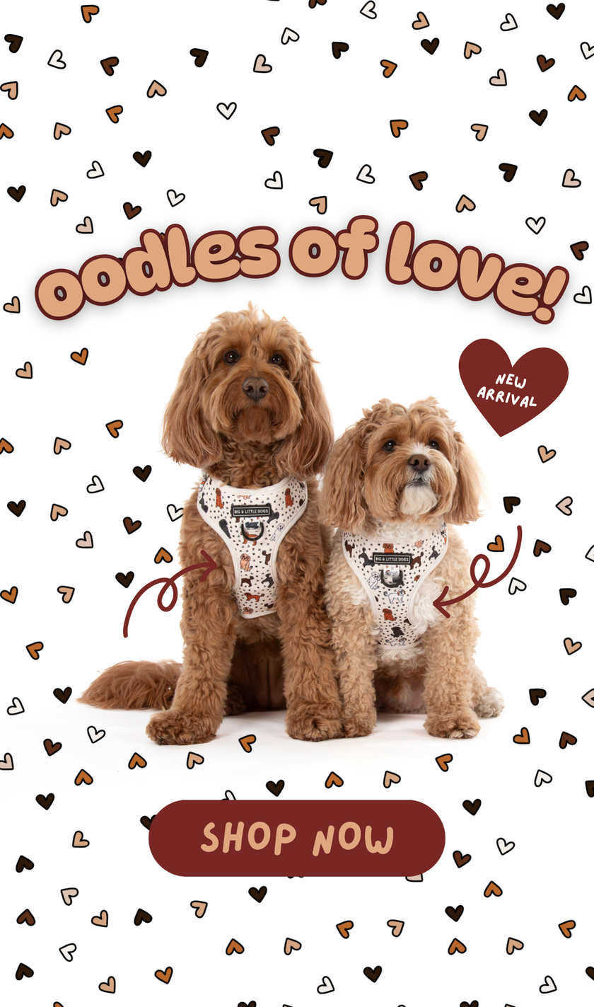 Dog Harnesses, Dog Collars & Dog Leashes for Big & Small Dogs – Big ...