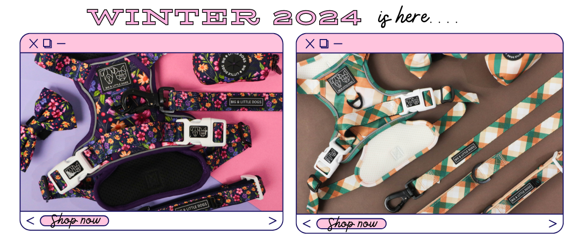 Dog Harnesses, Dog Collars & Dog Leashes for Big & Small Dogs – Big ...