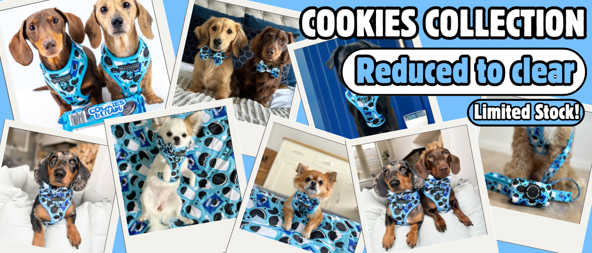 Dog Harnesses, Dog Collars & Dog Leashes for Big & Small Dogs – Big ...