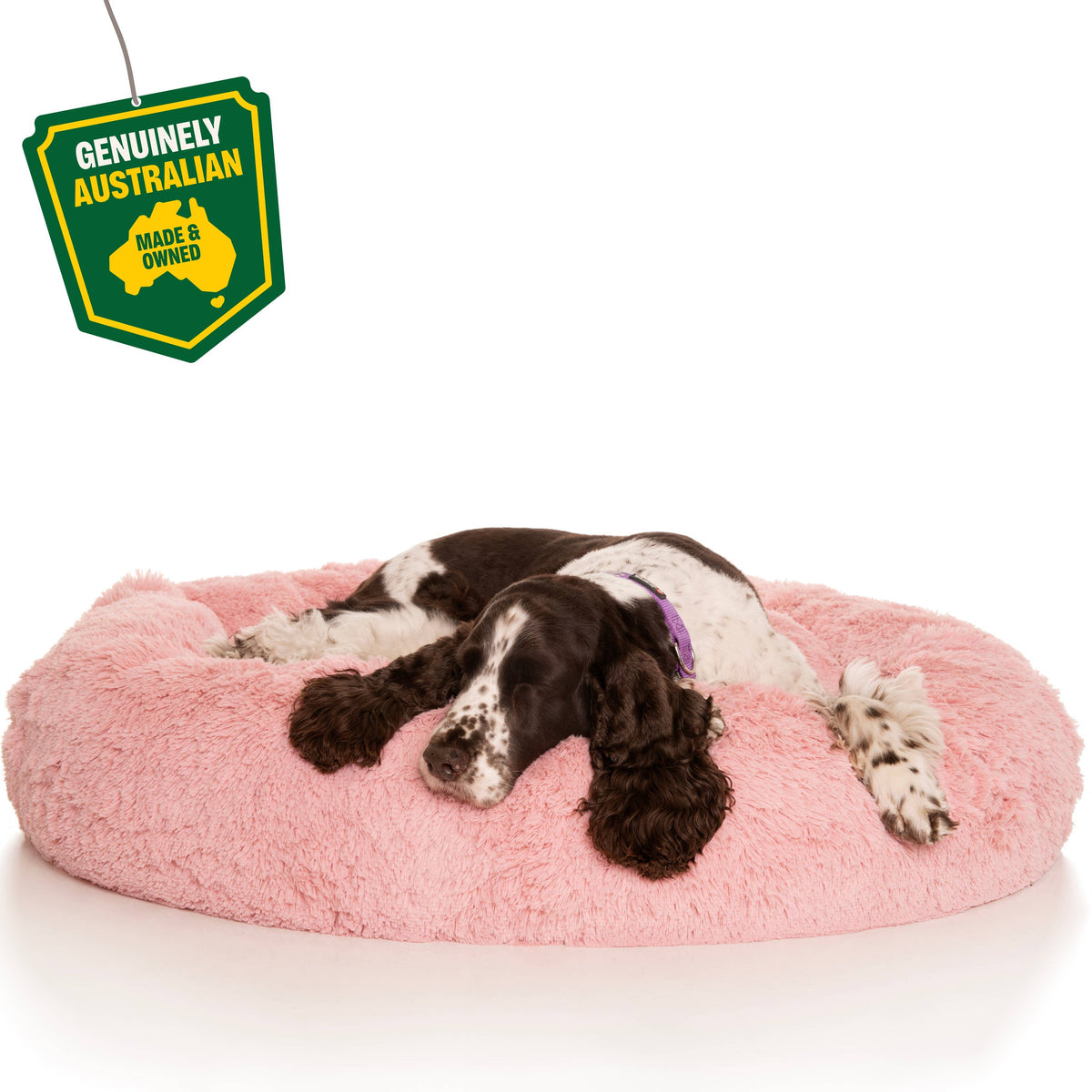 Dog Harnesses, Dog Collars & Dog Leashes for Big & Small Dogs – Big ...