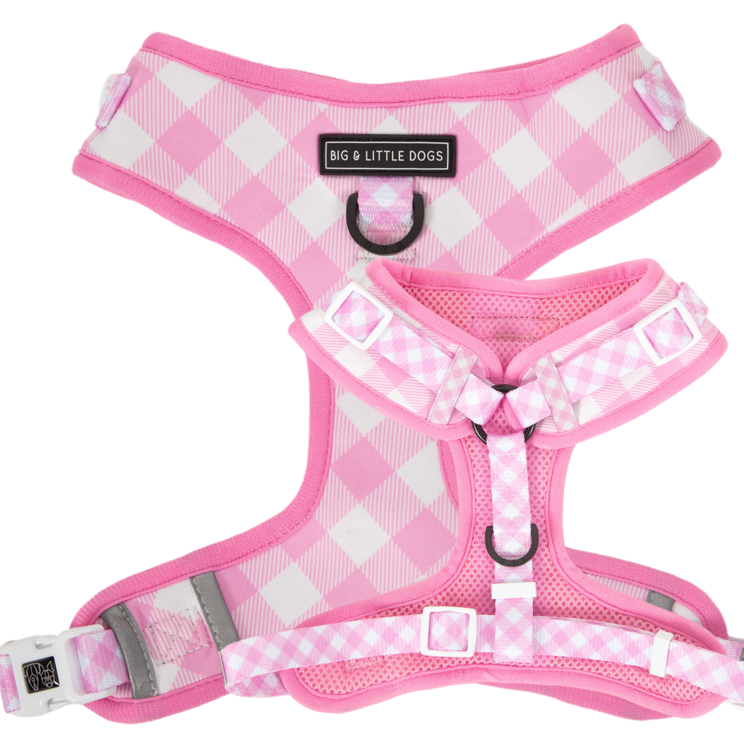 Dog Harnesses, Dog Collars & Dog Leashes for Big & Small Dogs – Big ...